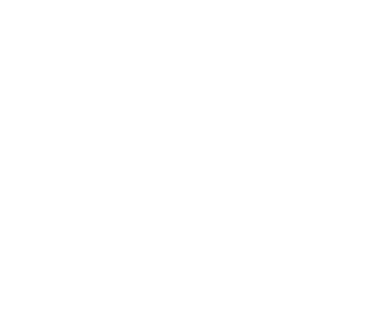 Palopäällystöpäivät - SPPL